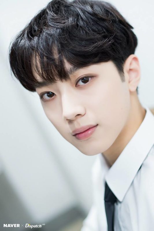 Lai Kuan Lin 賴冠霖 (Actor) – Ninenovel TV Drama Series