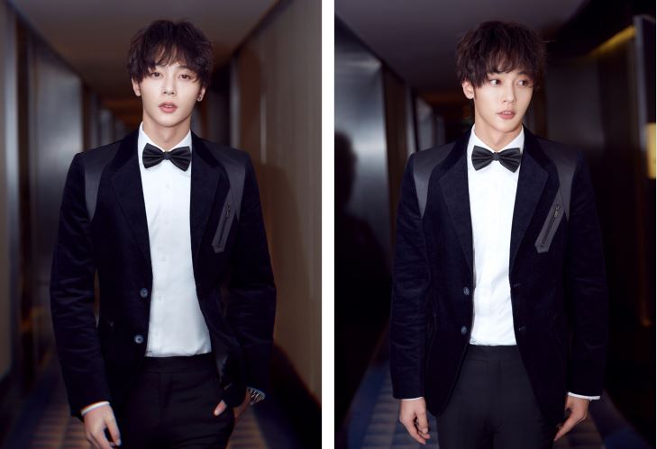 li-jun-chen-actor – Ninenovel TV Drama Series