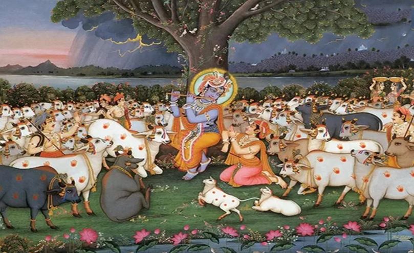 236326Why are cows so sacred in India? – Ninenovel