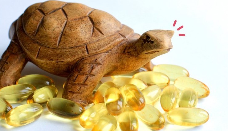 237713The Law of Using Bulus Oil in Islam, Here Are the Opinions of the ...